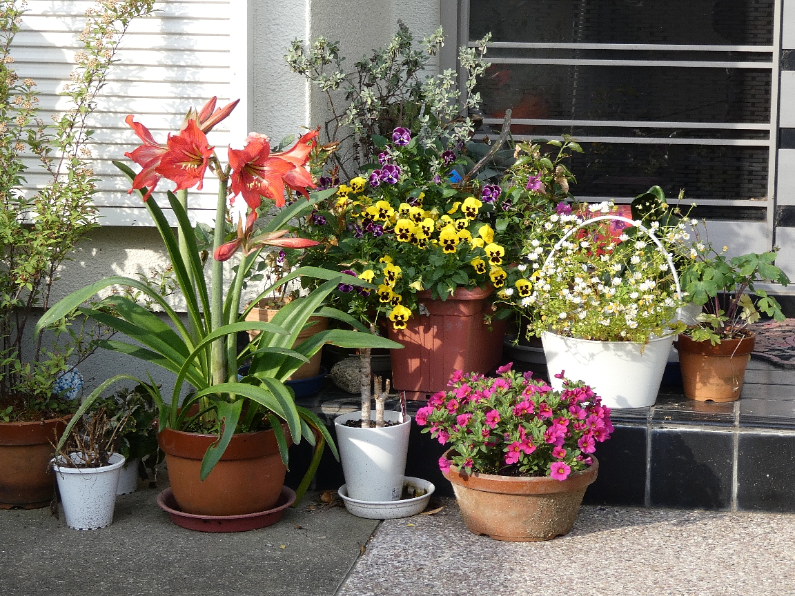 月齢 16 7 5 月 17 日 22 33 南天